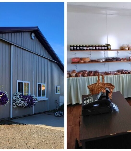 best amish bakery wisconsin ftr