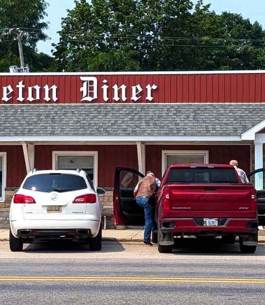 best fried chicken michigan ftr