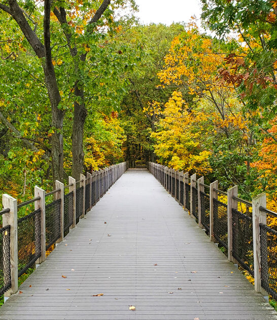 boardwalk trail overlook michigan ftr