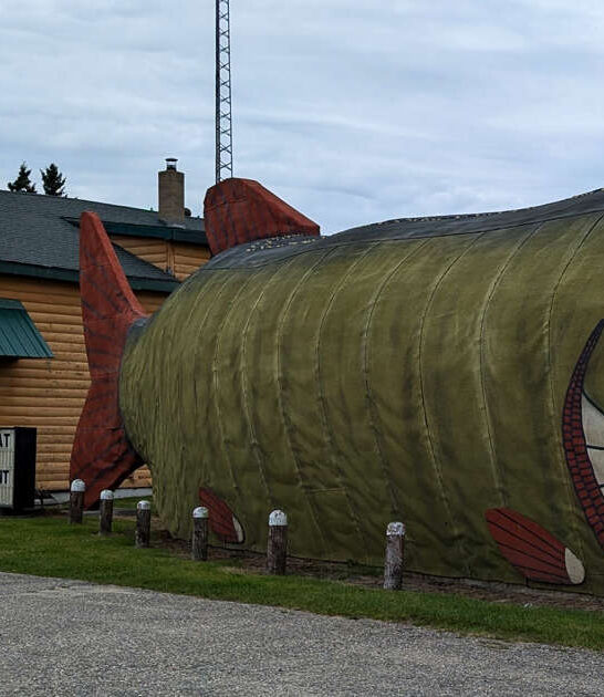 broasted chicken restaurant minnesota ftr