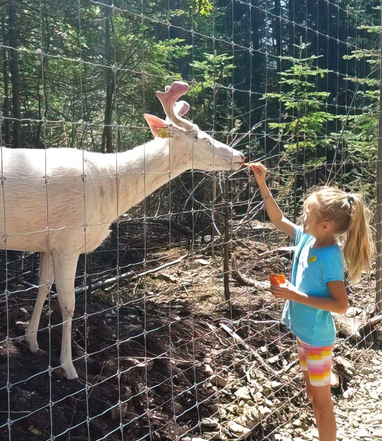 deer ranch michigan ftr