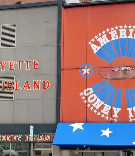 diner coney dogs michigan ftr