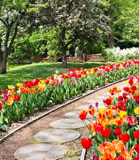 dreamy botanical garden michigan ftr