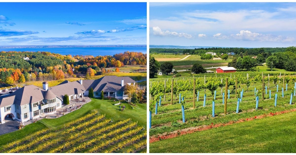 dreamy winery michigan ftr