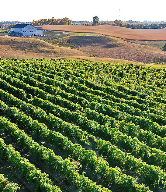 dreamy winery minnesota ftr