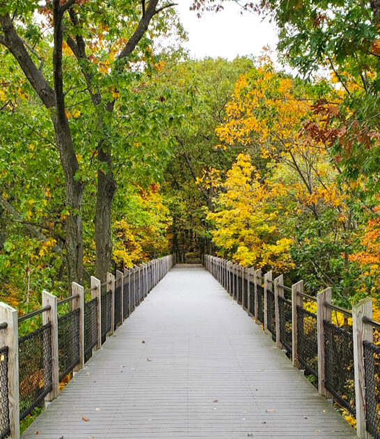 easy boardwalk trail michigan ftr