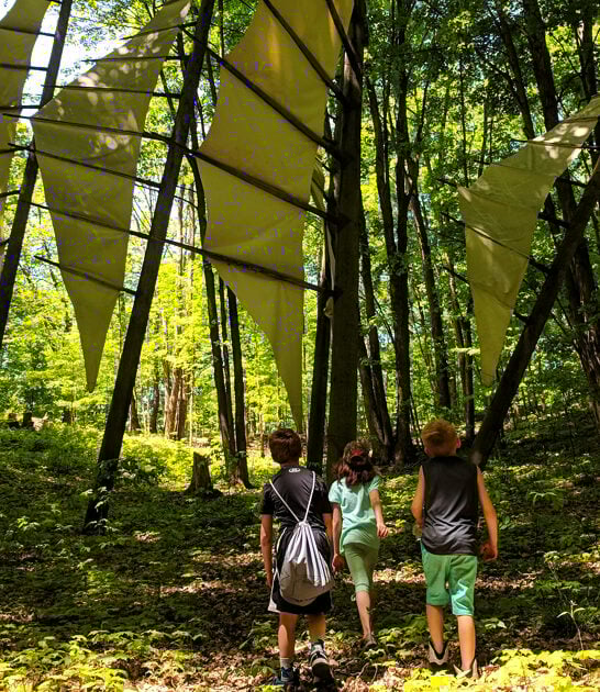 enchanting art park michigan ftr