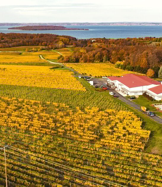 enchanting-old-winery-michigan