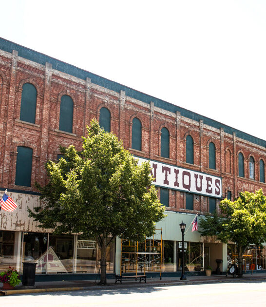 european antique store michigan ftr