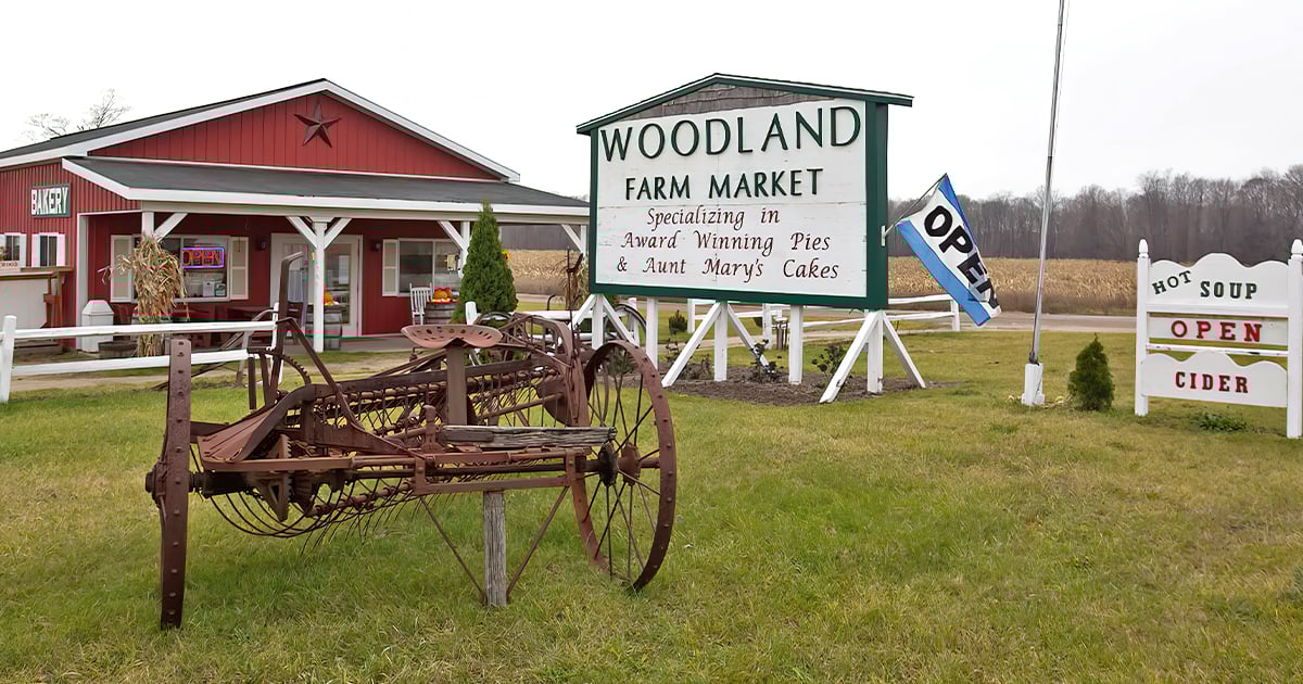 famous apple fritters michigan ftr