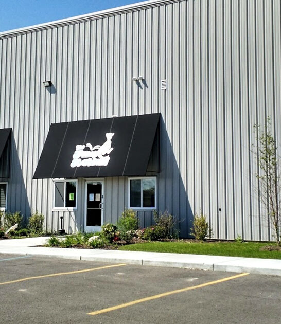 fun indoor trampoline michigan ftr