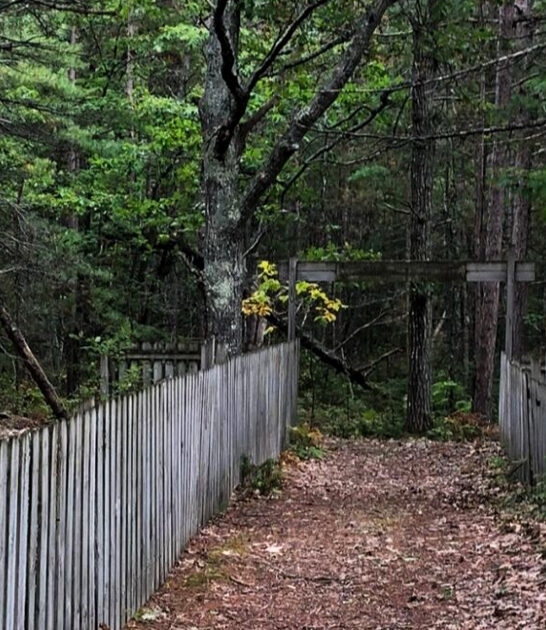ghost town trail michigan ftr
