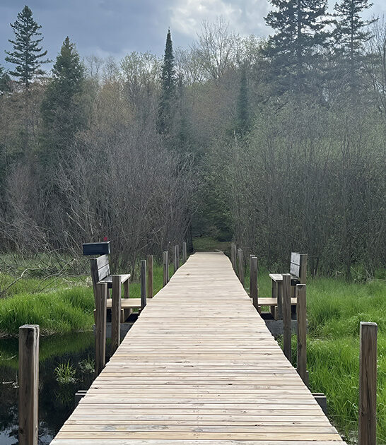 grand canyon trail michigan ftr