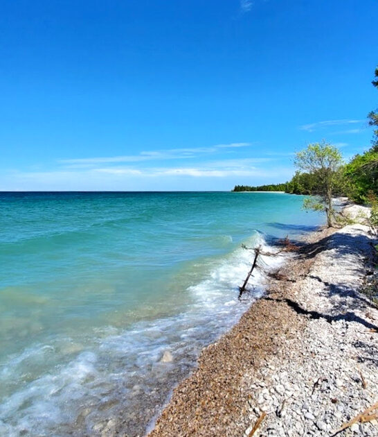 harbor state park michigan ftr