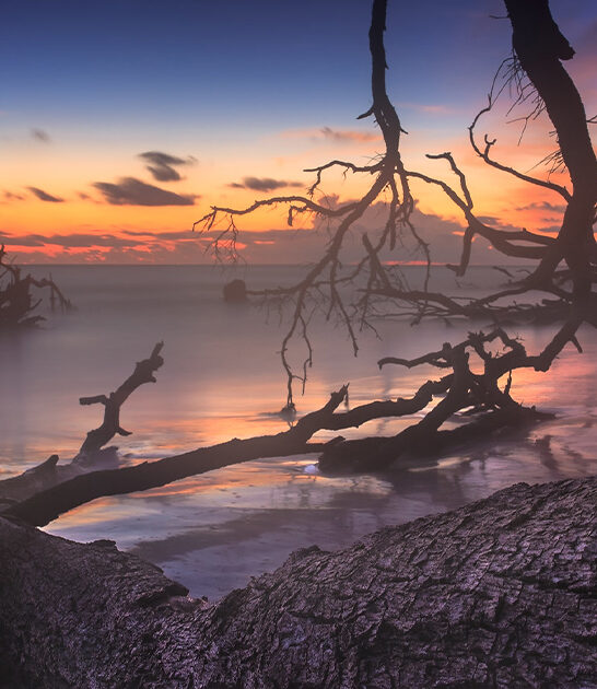 haunting otherworldly beach florida ftr