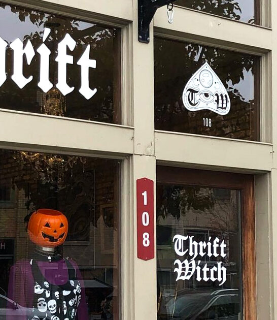 horror thrift shop michigan ftr