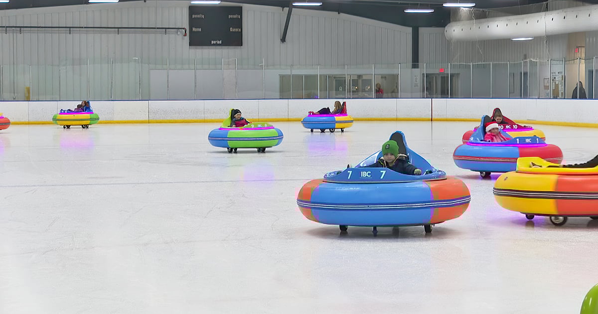 ice bumper car michigan ftr