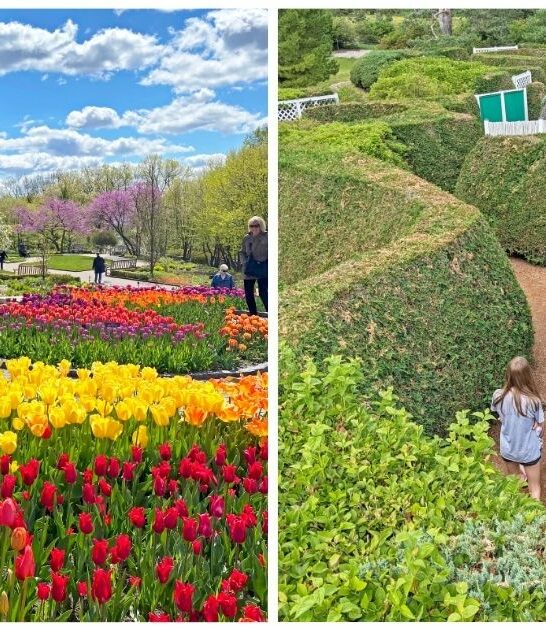 magical horticultural garden minnesota ftr