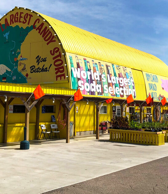 massive candy store minnesota ftr