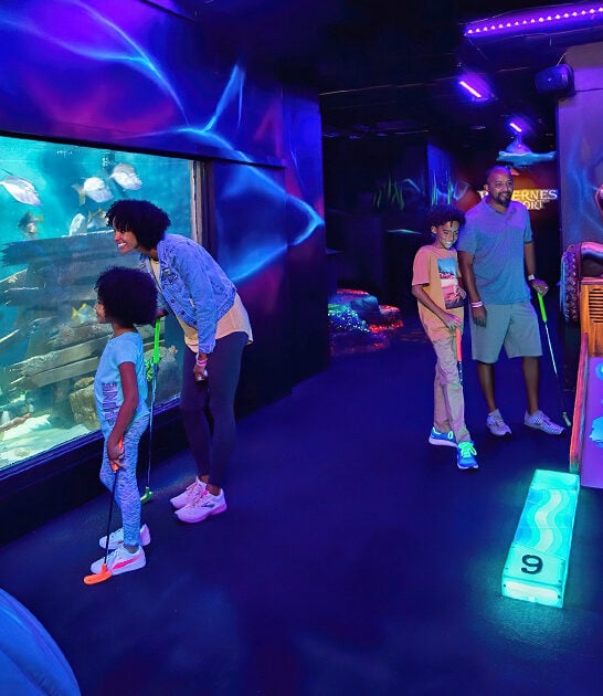 mini golf course wisconsin ftr