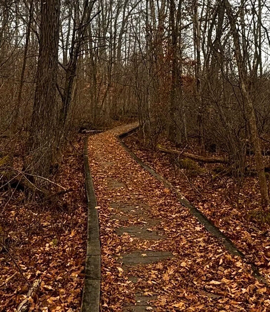 mysterious trail michigan ftr