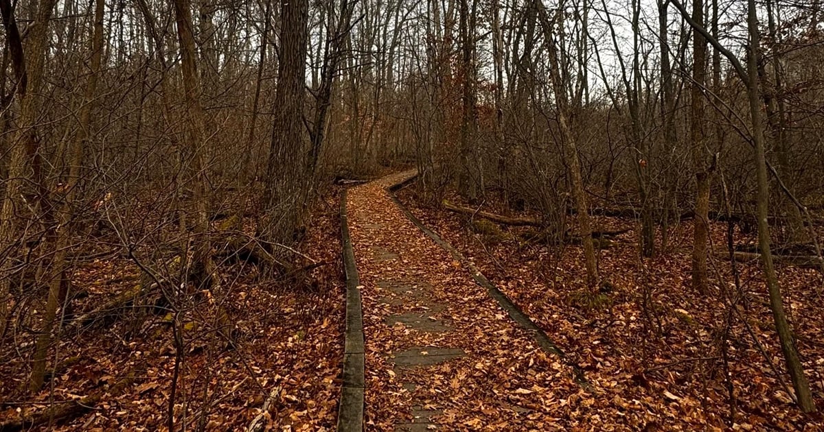 This 3.5-Mile Trail in Michigan Is So Mysterious, You’ll Think You’ve ...