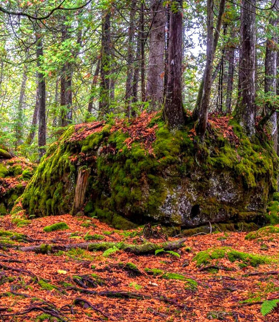 narnia trail michigan ftr