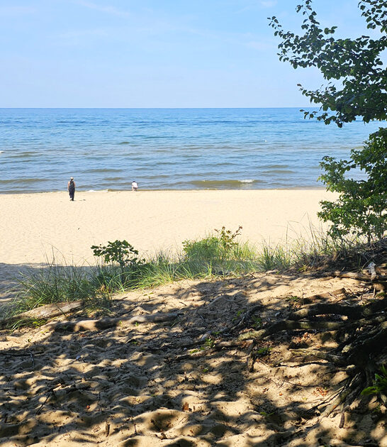 newbie friendly trail michigan ftr