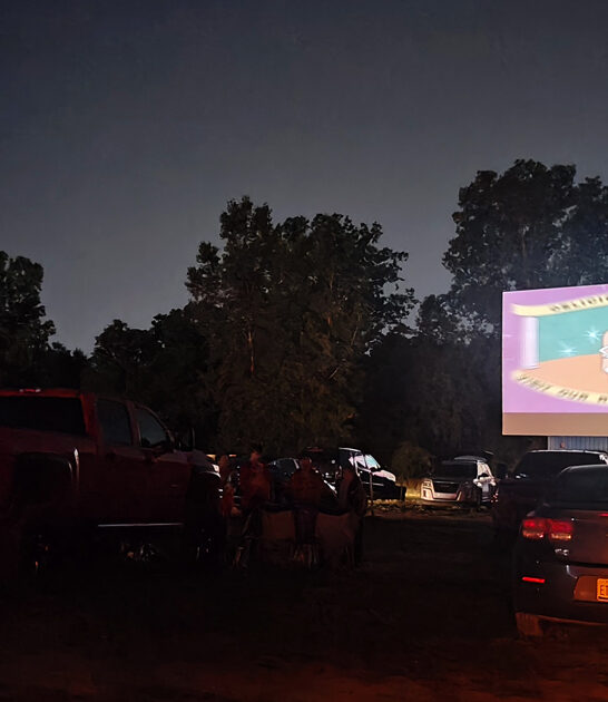 nostalgic drive theater michigan ftr