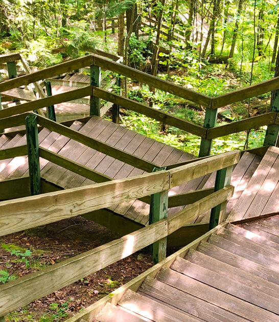 out back trail michigan ftr