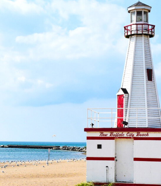 picturesque beach michigan ftr