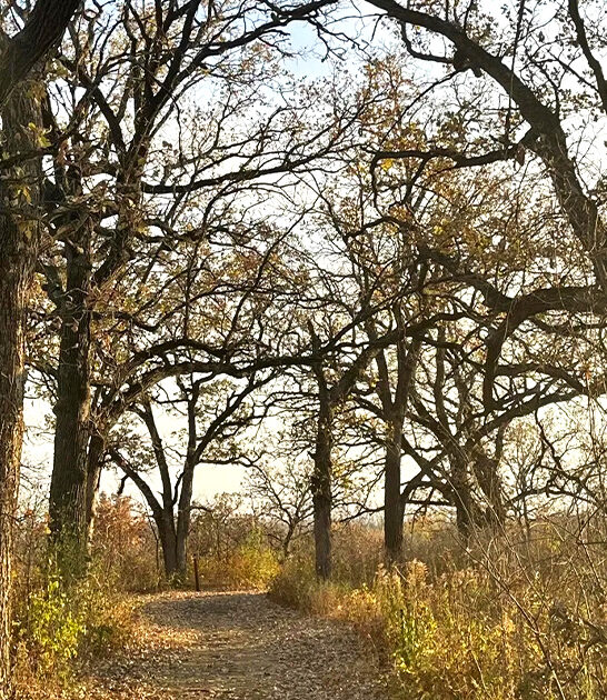 picturesque loop trail minnesota ftr