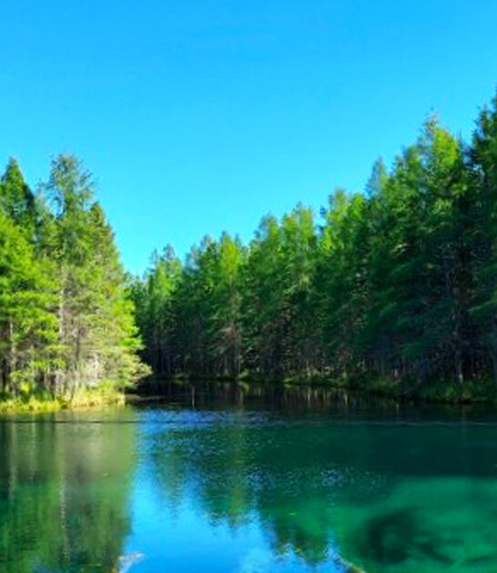 picturesque state park michigan ftr