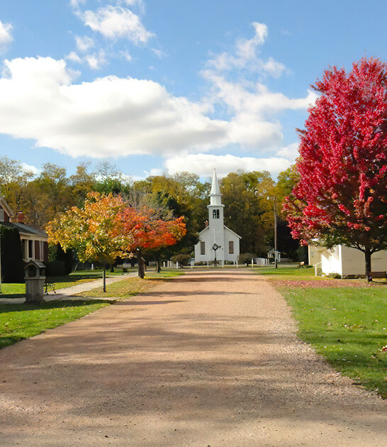 picturesque village michigan ftr