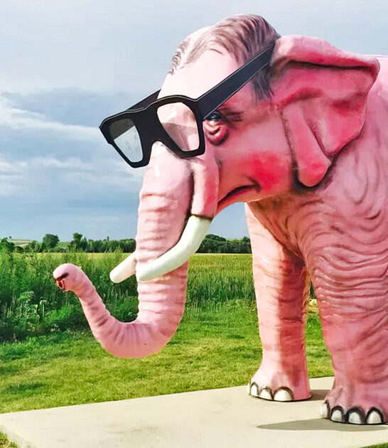pink elephant statue wisconsin ftr