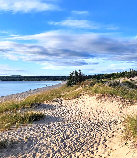precious gemstones park michigan ftr