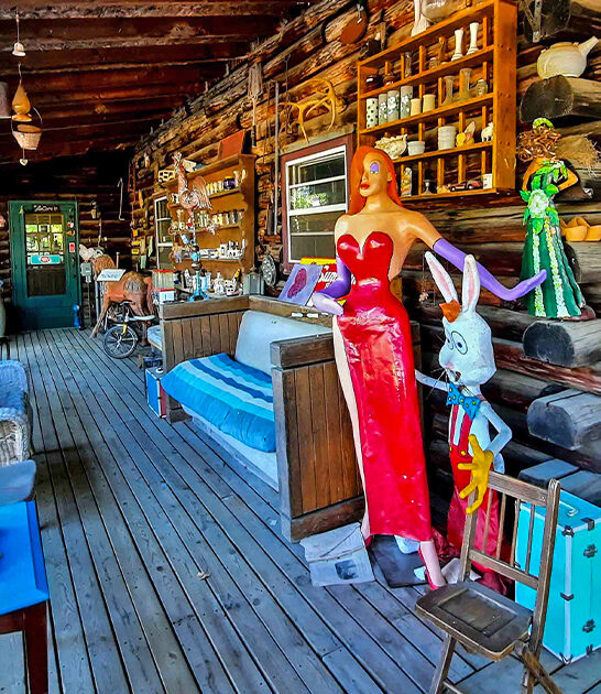 quirky antique shop minnesota ftr