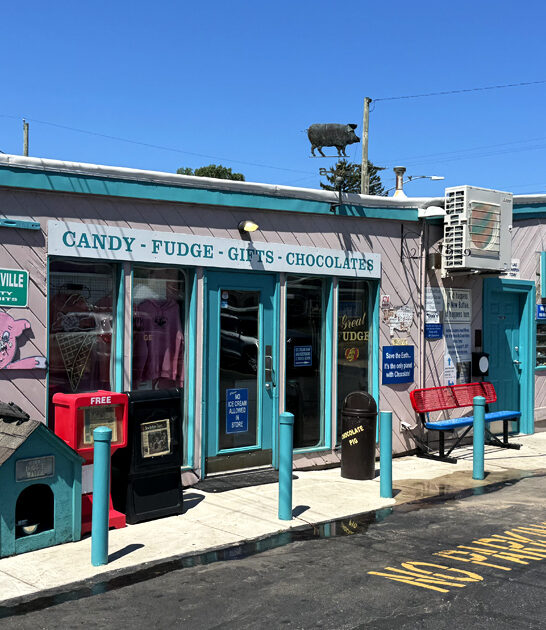 quirky ice cream michigan ftr