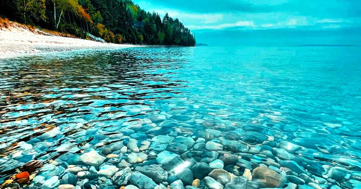 Hunt For Rare Fossils And Rocks At This Under-The-Radar Beach In Michigan