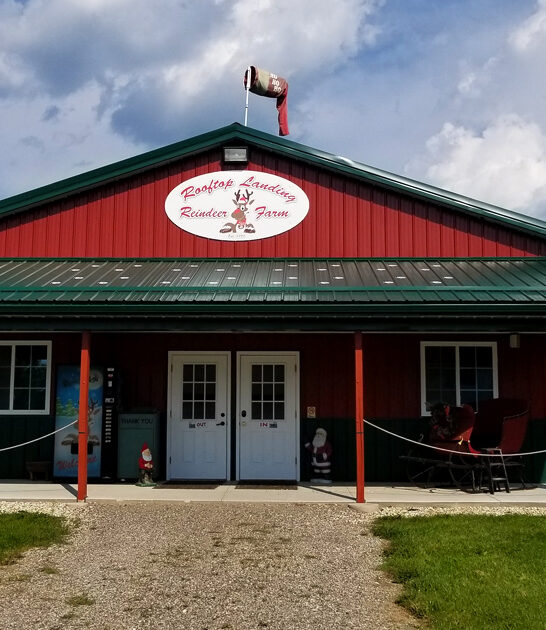 reindeer farm michigan ftr