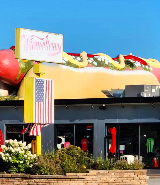 restaurant coney dogs michigan ftr