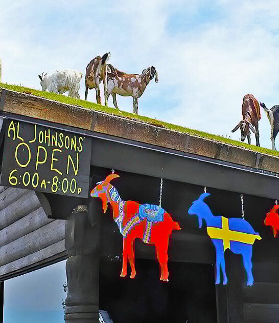 restaurant with goats wisconsin ftr