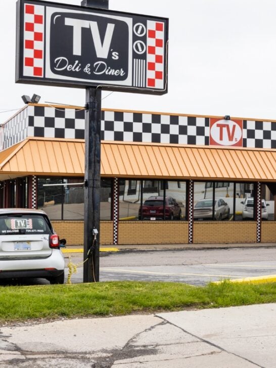 retro roadside diner michigan ftr