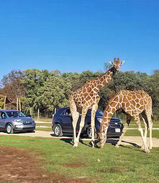 safari park in wisconsin ftr