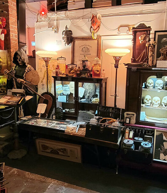 spooky oddity store michigan ftr