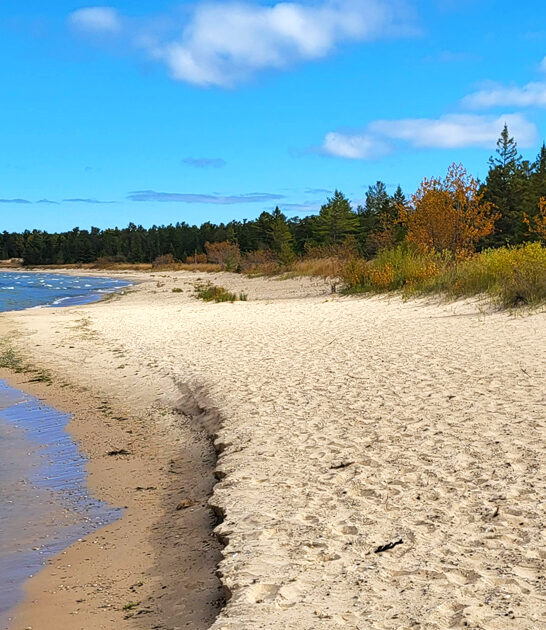 state park shoreline michigan ftr