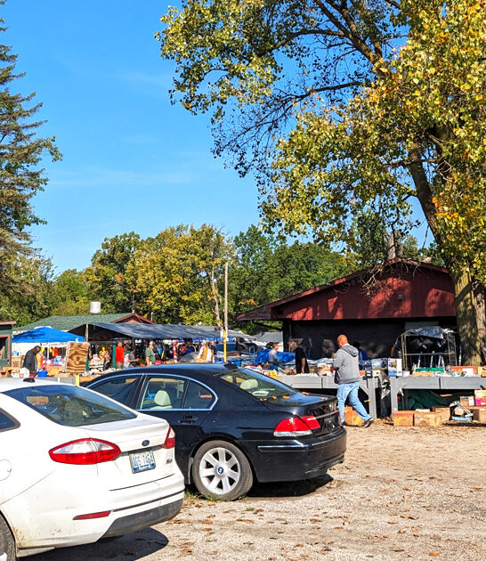 tiny flea market michigan ftr