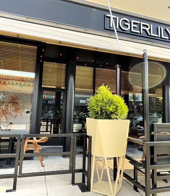 tropical inspired speakeasy michigan ftr