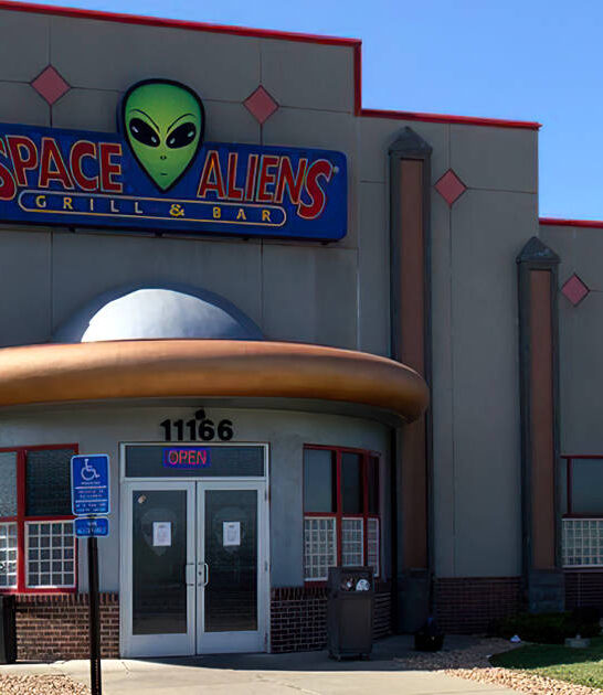 ufo themed restaurant minnesota ftr