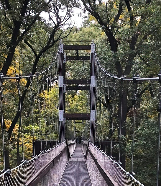 unforgettable trail hike michigan ftr